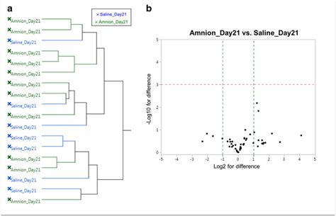 A Unsupervised Clustering Shows No Distinct Grouping Of Samples Download Scientific Diagram
