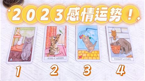 🔮塔羅占卜：🥰💖2023年你的桃花（感情）運勢？有無新人 And 戀愛機會？pick A Card Youtube