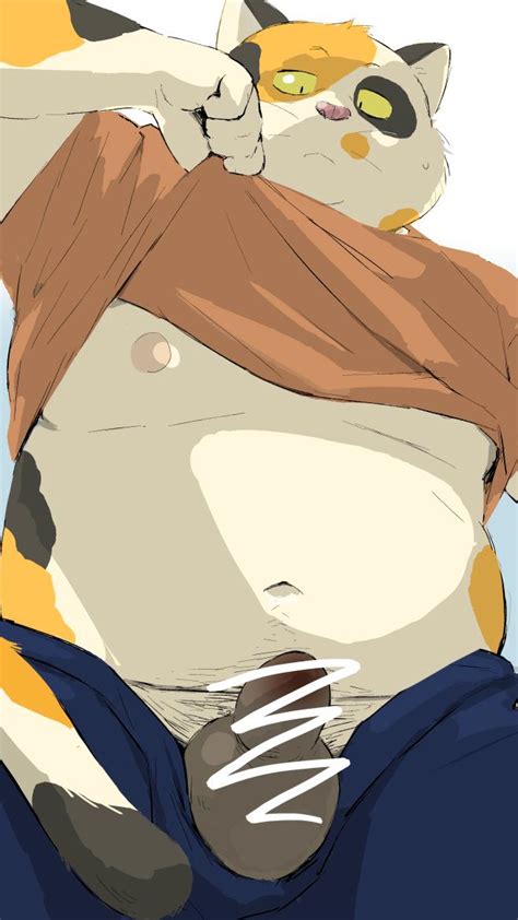 Rule 34 Anthro Balls Belly Bottomwear Calico Cat Clothed Clothing Clothing Lift Domestic Cat