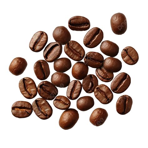 حبوب البن المحمصة المعزولة Png ، المتجهات ، Psd ، قصاصة فنية تحميل مجاني Pngtree