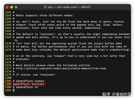 Redis持久化机制详解从RDB到AOF你需要知道的一切 知乎