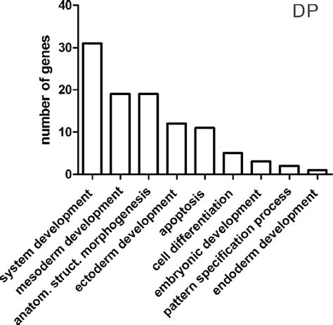 Functional Classification Of Differentially Expressed Genes In Terms Of Download Scientific