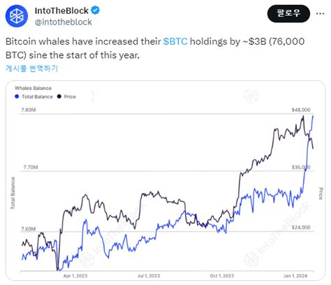비트코인 3주간 고래매집 4조원 넘겨 가격 반등 신호 네이트 뉴스