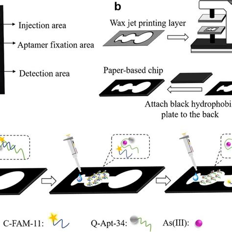 Sensitivity And Selectivity Of The Paper Based Microfluidic Device A Download Scientific