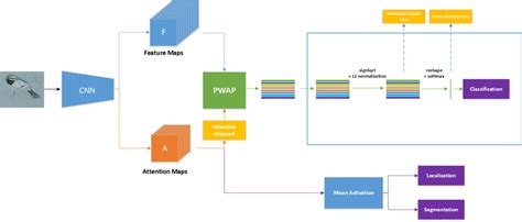 Overview Of The Proposed Weakly Supervised Local Attention Network