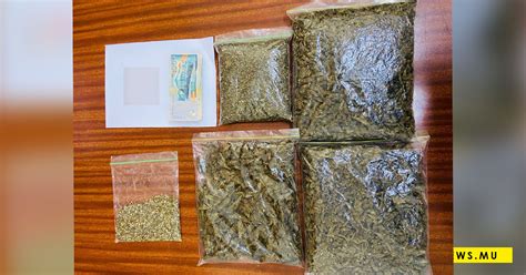 Route Bassin Un Jeune De 24 Ans Arrêté Avec Plus De Rs 800 000 De Cannabis