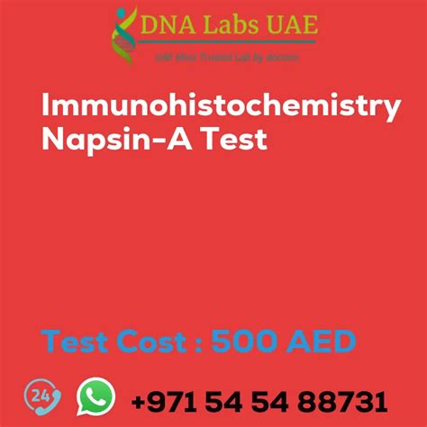 Immunohistochemistry Napsin A Test Cost Dna Labs Uae