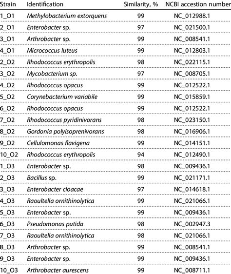 Genetic Identification Of Isolated Bacterial Strains Download Table