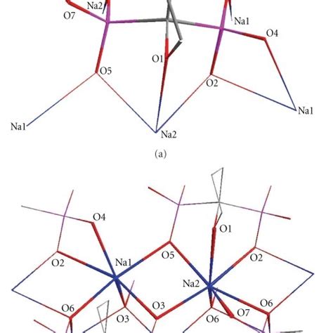 Molecular Structures Of Etidronate Pamidronate And Alendronate And Download Scientific