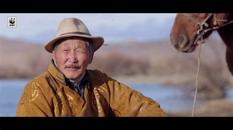 Туул голд тулгамдаж буй асуудал Усны бохирдол Youtube