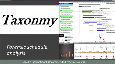 Mohamed Abd Elhakiem On Linkedin Delay Analysis Methods Hierarchy
