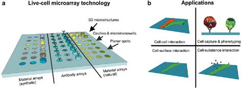 Figure 1 From Chapter 19 Cell Microarrays For Biomedical Applications Semantic Scholar