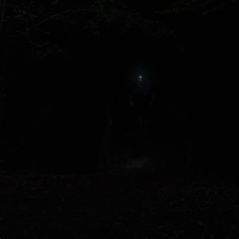 Discover How Bobst Is Leading The Folding Carton Industry With Zero Fault… Désirée Bariatti