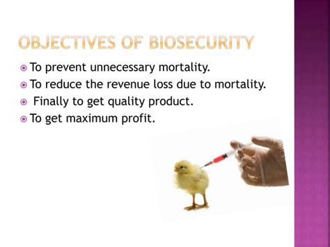 Health And Biosecurity Of Broiler Industry Pptx Agriculture Industries