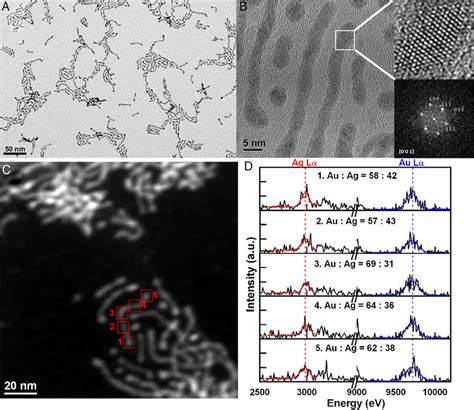A Tem Image Of Oa Auag Wnrs 1 B Hrtem Image Of A Crystalline