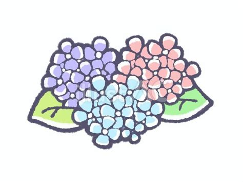 紫陽花イラスト No 23743138無料イラストフリー素材ならイラストAC
