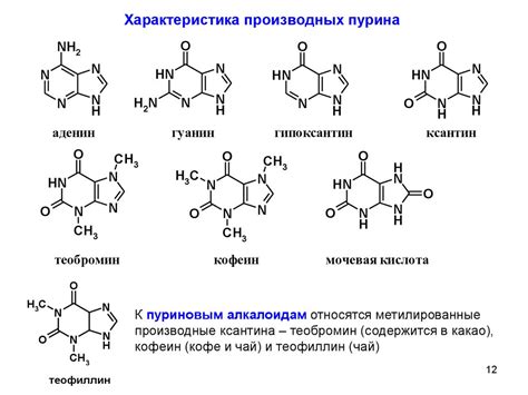 Пурины. Строение пурина. (Лекция 9) - online presentation
