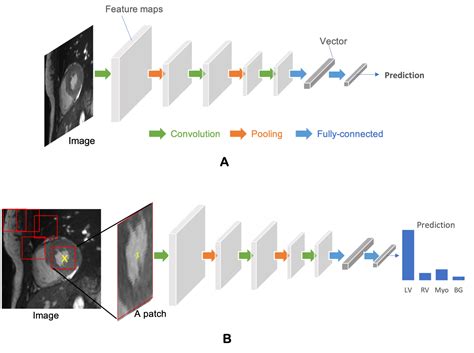 Deep Learning For Cardiac Image Segmentation A Review Deepai