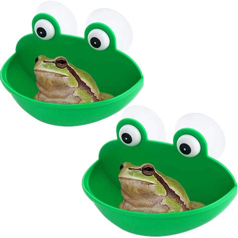 Buy Pinvnby 2 Pack Plastic Toad Habitat Amphibious Aquatic Frog Habitat