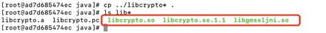 Gmssl Java Wrapper Issue Guanzhi Gmssl Github