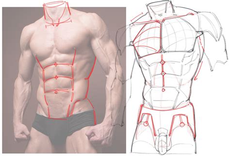 Discover 89 Male Body And Art Tutorials Drawing Ideas In 2025 Art