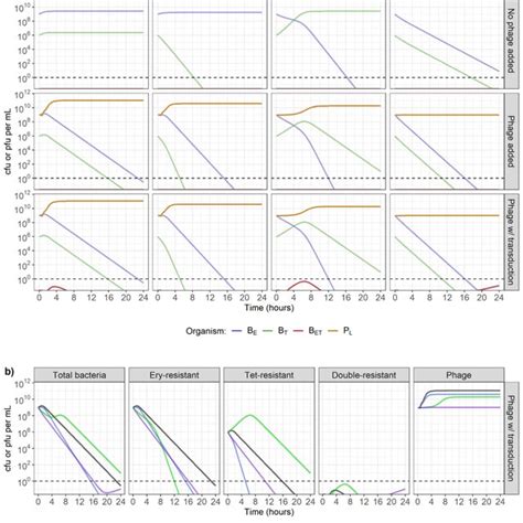A Model Predicted Dynamics With Two Single Resistant Strains Starting Download Scientific