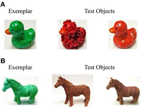 Sets Of Stimulus Objects Used In The Adjective Tasks A Control Task