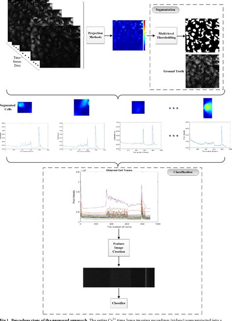 Figure 1 From Combined Segmentation And Classification Based Approach