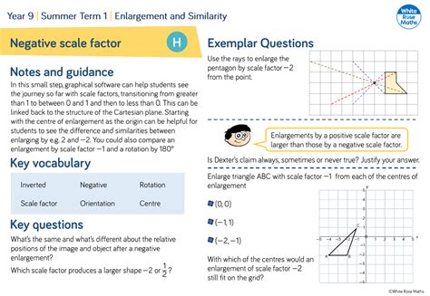 negative scale factor questions maths