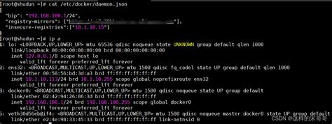 Docker实现跨宿主机的容器之间网络互联docker容器与宿主机网络互通 Csdn博客