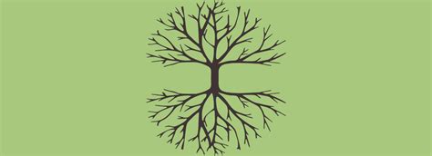 Mesh Networks And Semantic Routing Apnic Blog