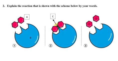 Solved 2 Explain The Reaction That Is Shown With The Scheme Chegg Com