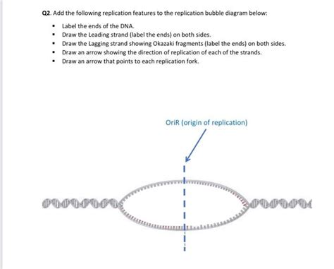 Solved Q Add The Following Replication Features To The Chegg Com
