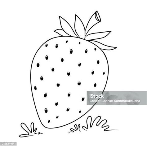 잎이 있는 딸기의 연속 선 그리기 벡터 일러스트 레이 션입니다 건강한 생활방식에 대한 스톡 벡터 아트 및 기타 이미지 건강한 생활방식 과일 낙서 드로잉 Istock