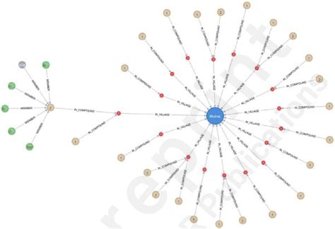 Graph Database Visual Representation Of The Health And Demographic Data