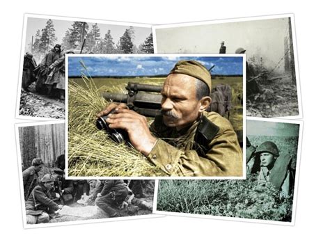 Тест на проверку знаний по истории Великой Отечественной войны Поле Брани Дзен