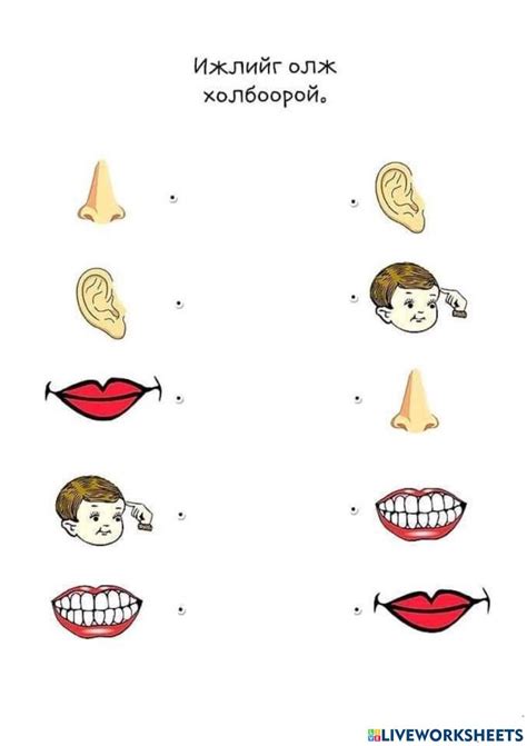 My Face Exercise For Grade1 Live Worksheets