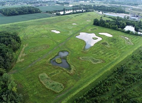 Wetland Restoration Project Hancock Park District