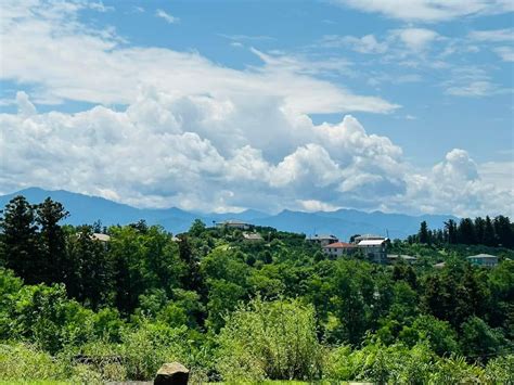 ნიუ იორკის მოყვარულთა კლუბი ნიუ იორკის მოყვარულთა კლუბი