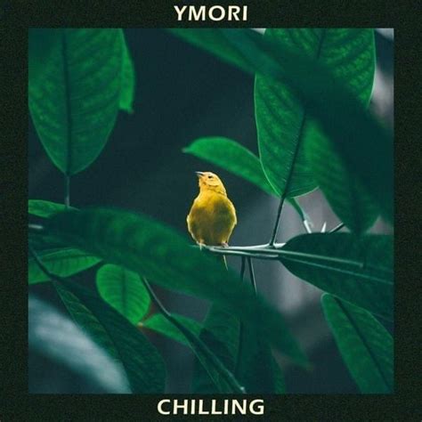 Ymori Chilling Lyrics And Tracklist Genius