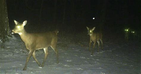 Devin Patrick Bovino Updated Their Devin Patrick Bovino