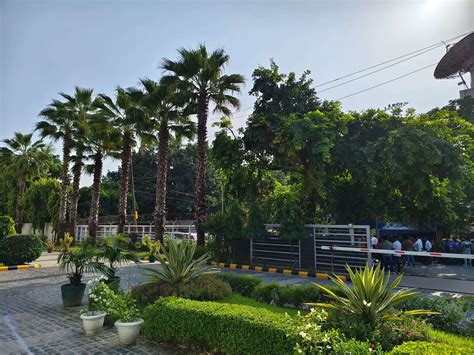 Vivo T Ultra Review Surprisingly Good Mid Range Phone Times Now