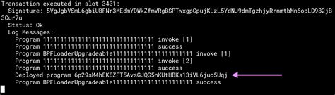Solana Programs Are Upgradeable And Do Not Have Constructors By Rareskills Rareskills