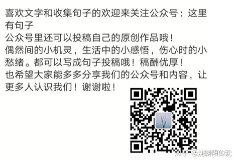 写给自己做乐观的悲观主义者 知乎
