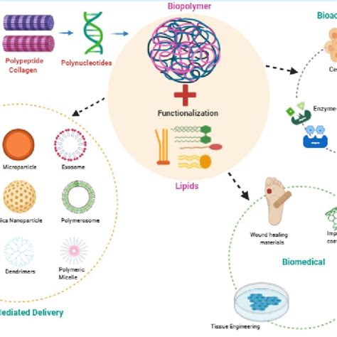 Scheme Representing The Wide Uses Of Lipids And Polymers In Drug Download Scientific Diagram