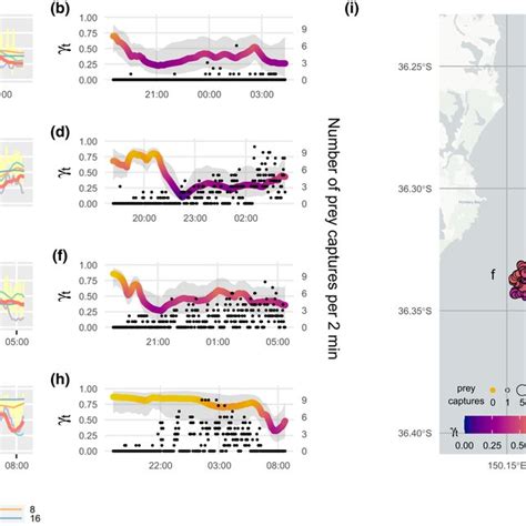 A Generalized Animotum Workflow Showing Default Input Data Formats