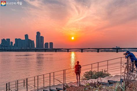 서울시 내 손안에 서울
