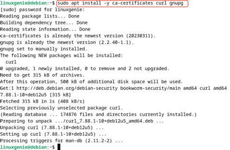 How To Install Nodejs On Debian 12 Linux Genie