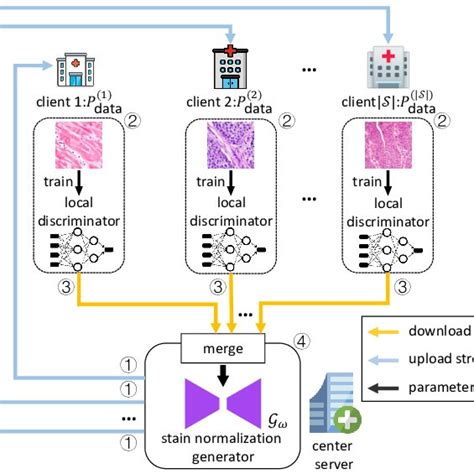 The Whole Workflow Of The Proposed Color Transfer Cgan With Federated