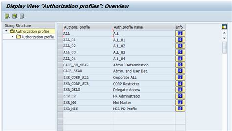 Solved Structural Authorization No Authorization During V Sap